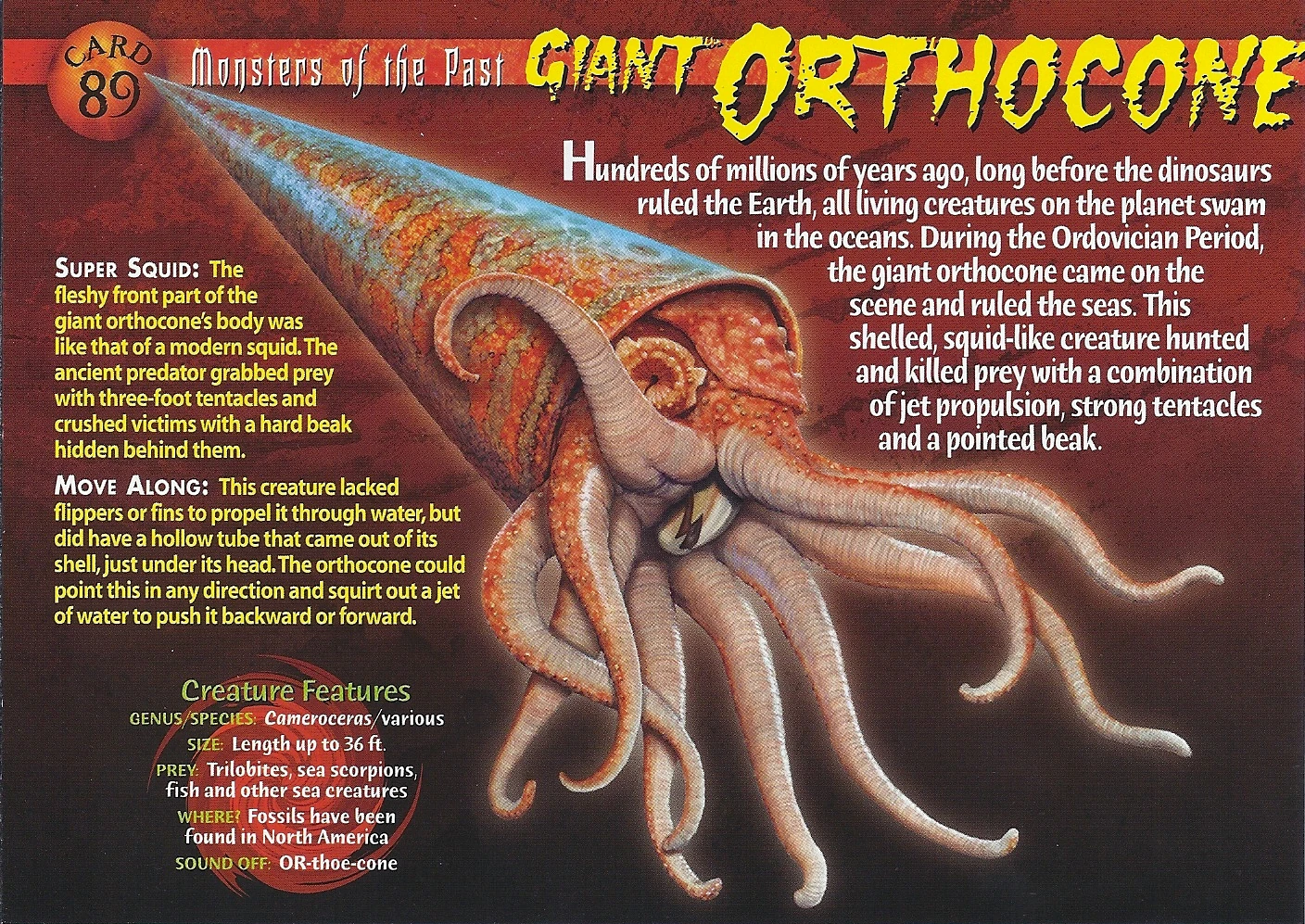 Giant Orthocone - Wierd N'wild Creatures Wiki