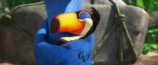 Toucan Kids - Rio Wiki