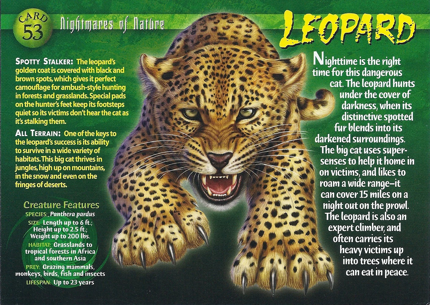 Leopard - Wierd N'wild Creatures Wiki