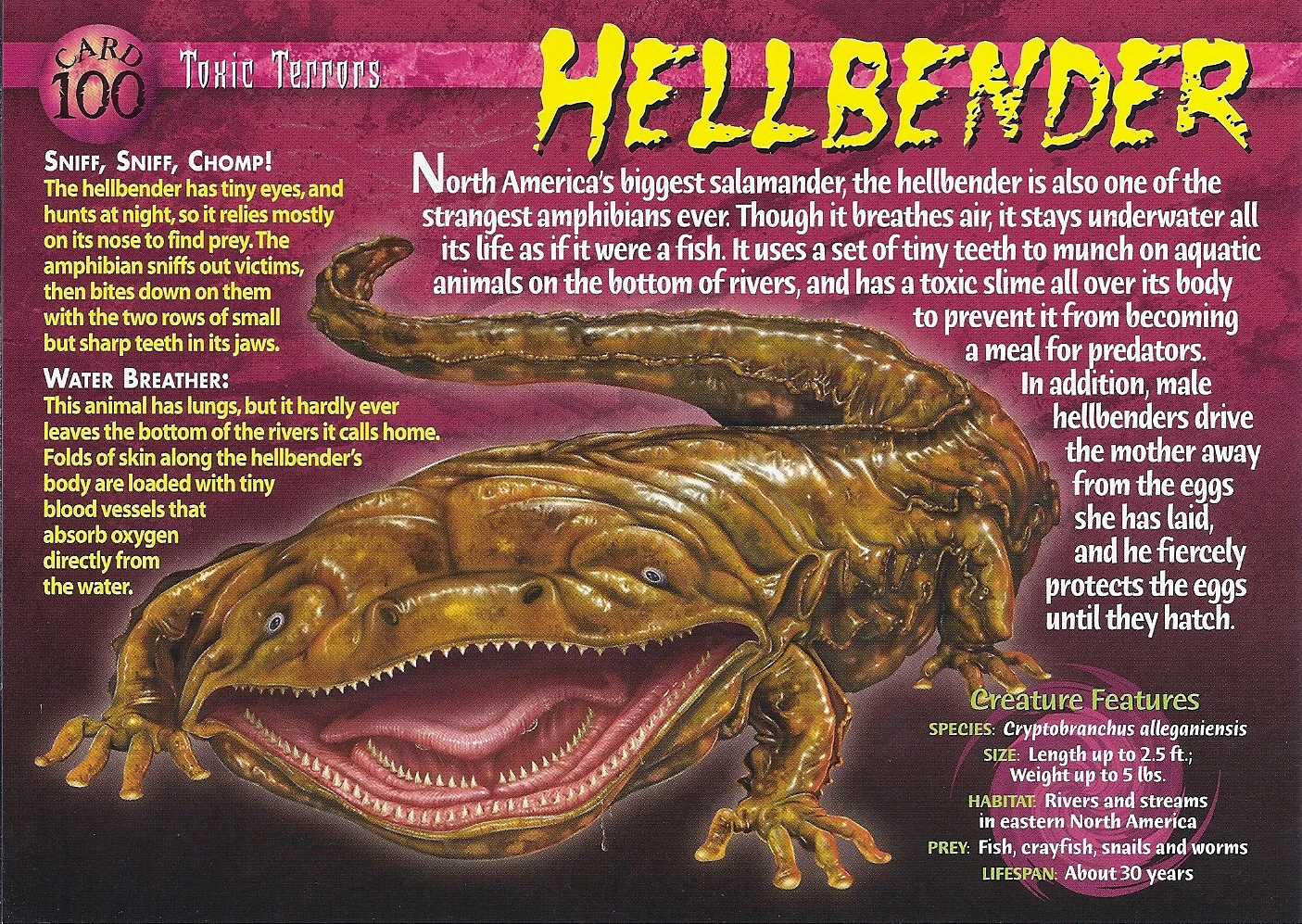 Hellbender - Wierd N'wild Creatures Wiki