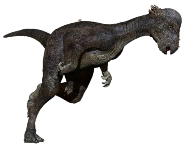 Pachycephalosaurus - Dinopedia - the free dinosaur encyclopedia