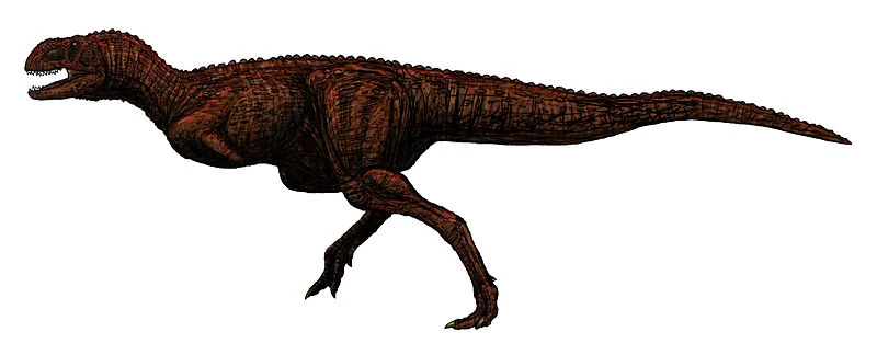 Indosaurus - Wiki Prehistórico