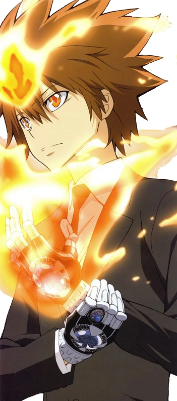 Reborn Sawada Tsunayoshi