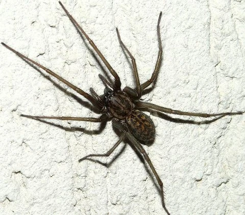 Katnik - znaleziska i wpisy o #katnik w Wykop.pl