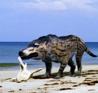 Walking With Beasts Indricothere Indricothere Spore Walking With