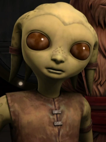 Jaone Goos | SWSheets