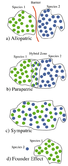 Parapatric Speciation