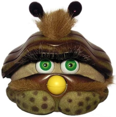 Shelby Furby