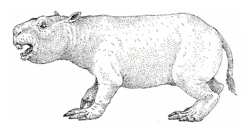 Mesotherium - Dinopedia - Wikia