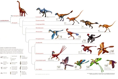 Coelurosauria - Dinopedia - the free dinosaur encyclopedia