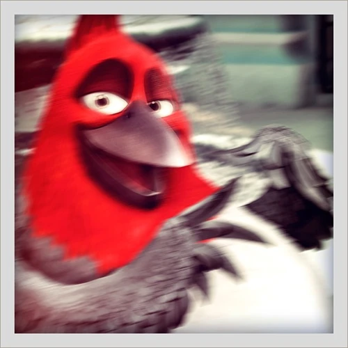 Image - Rio 2 pedro inst.jpg - Rio Wiki