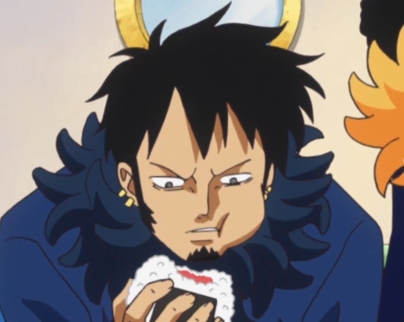 Image - Law Without a Hat.png - The One Piece Wiki - Manga, Anime ...