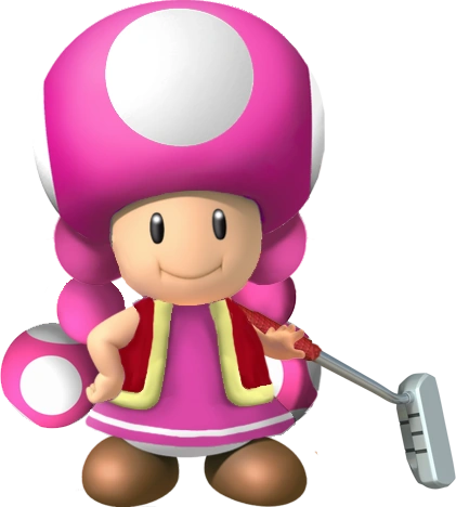 Image - Toadette MGGT.png - Fantendo, the Video Game Fanon Wiki