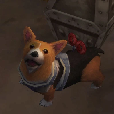World of Warcraft: Corgis Unleashed | HIVE