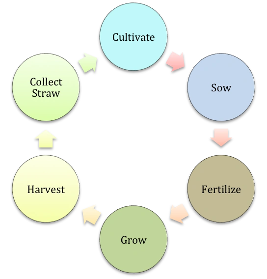 Image - Farming Simulator Harvest Cycle.png - Farming Simulator Wiki