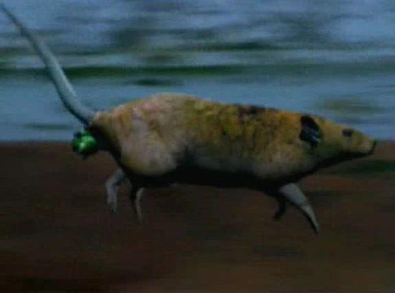 Starbug - Red Dwarf Wiki - Tongue Tied