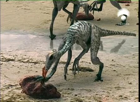 Troodon - Prehistoric Park Wiki