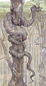 Dagobah python - Wookieepedia, the Star Wars Wiki