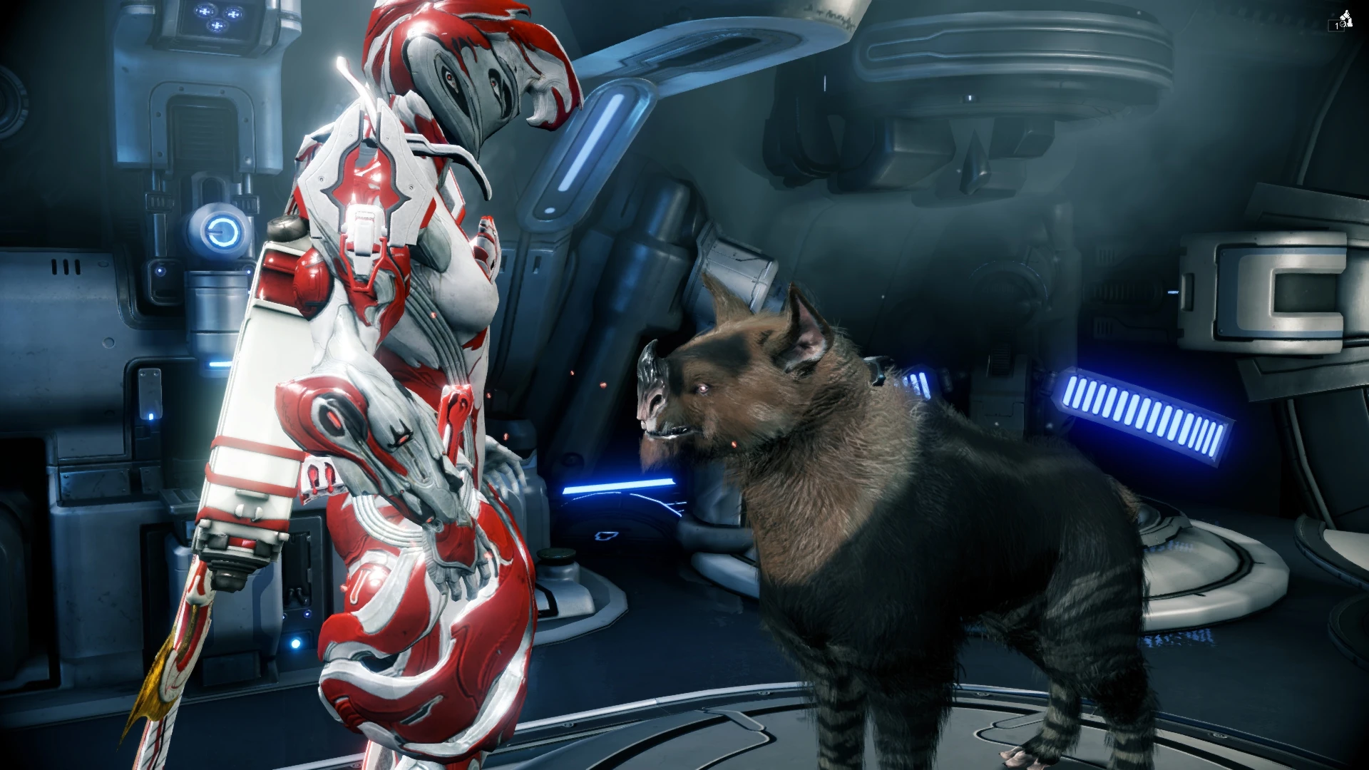 [Auction Starting]Amazing Rare Muscular Kubrow With Three Colors ...