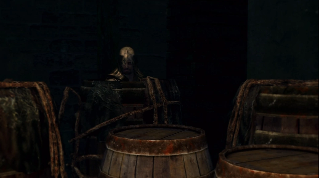 What does equipment load equate to in real life? : r/darksouls