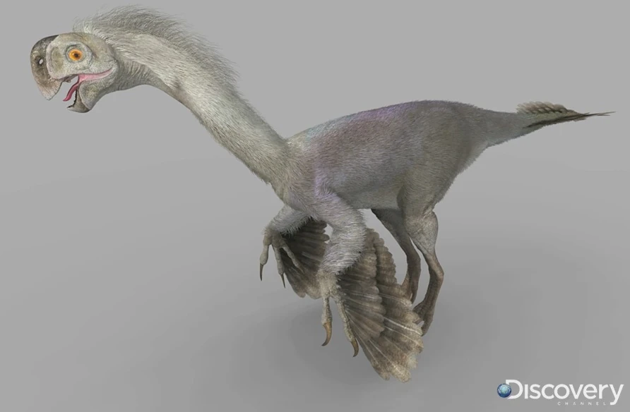 Gigantoraptor - Dinosaur Revolution Wiki