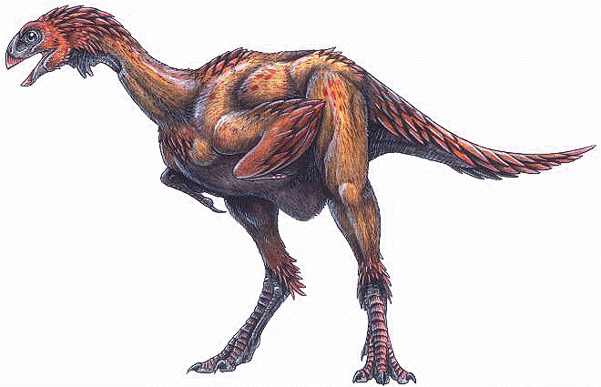 Avimimus - Dinopedia - the free dinosaur encyclopedia