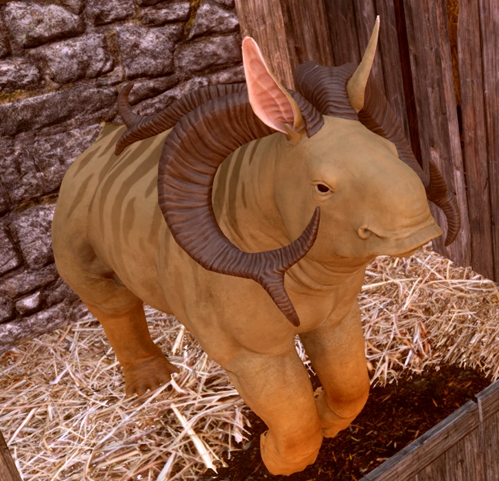 Super-muscly pigs created by small genetic tweak | SpaceBattles