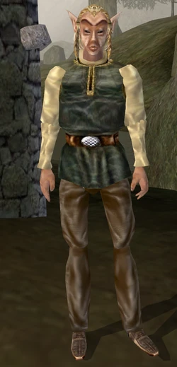 Fargoth – Das The Elder Scrolls Wiki - Oblivion, Skyrim, Elder, Scrolls