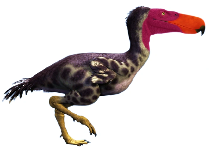 [Suggestion] Kelenken the Terror Bird : r/playark