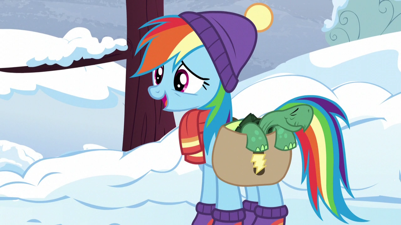 1000+ images about Rainbow Dash 20% cooler than the rest on Pinterest ...