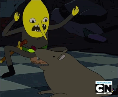 User blog:Gcheung28/10 Weirdly Awesome Facts about Adventure Time - The ...