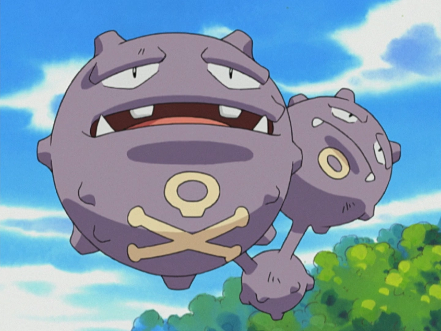 James' Weezing - The Pokémon Wiki